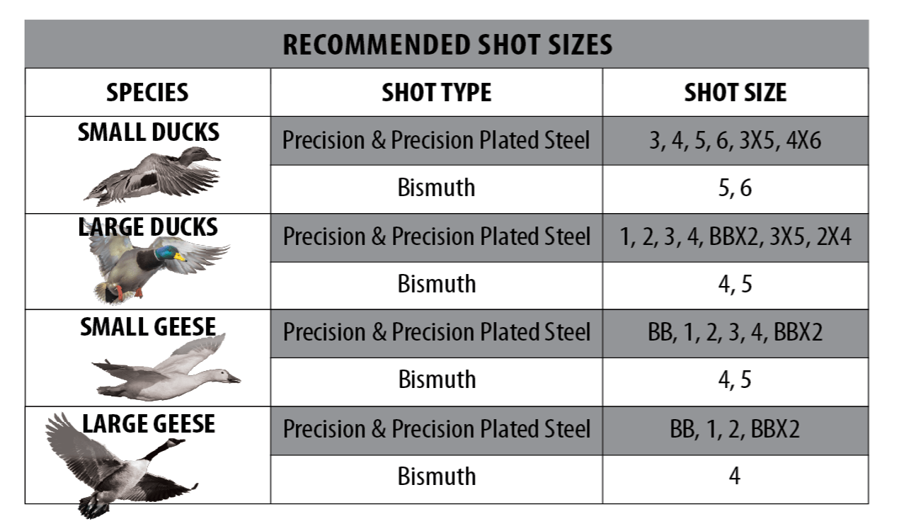 What Shot Size for Ducks: Picking the Perfect Ammo
